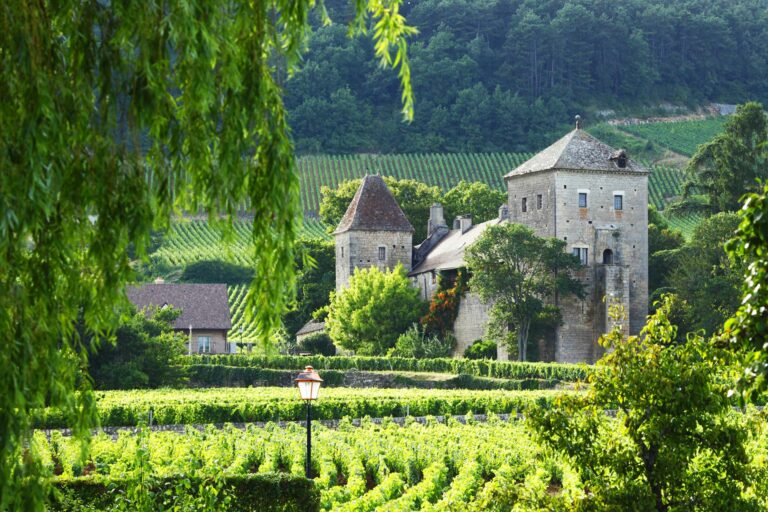 Best Wine Advertising Campaigns